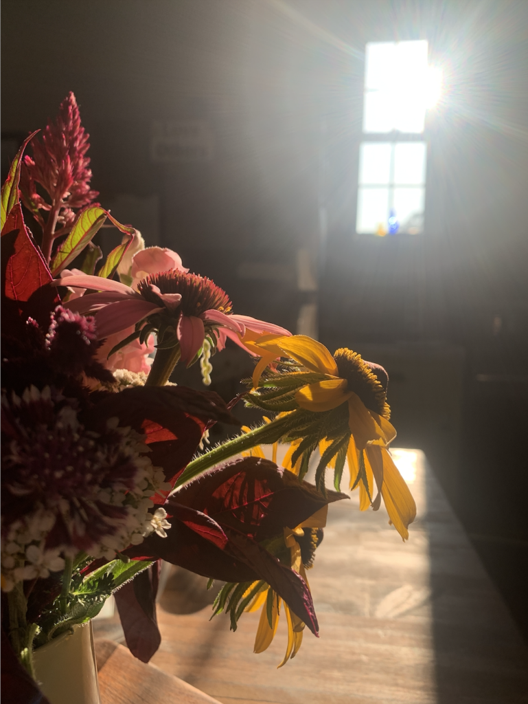 Did you know daylight affects plant growth? - Cottage Farmstead